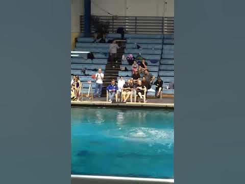 201c back dive tuck - YouTube