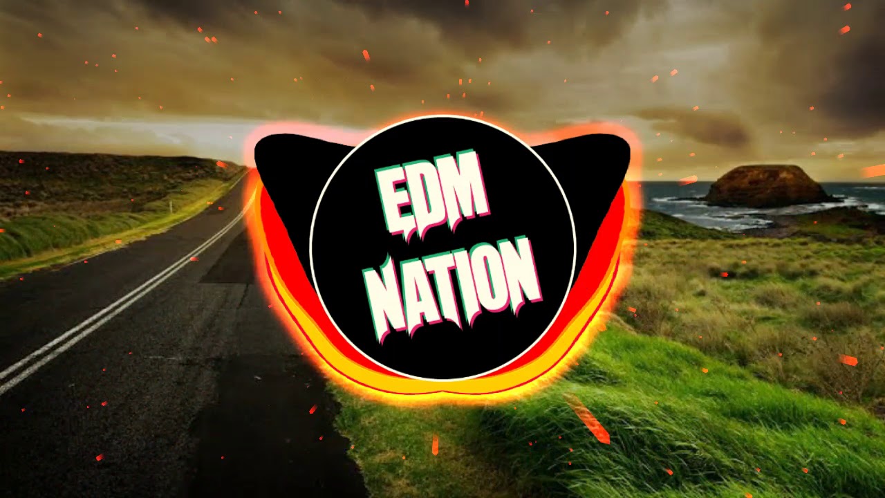 EDM Ducks ♫ (Original Mix) | EDM Nation - YouTube