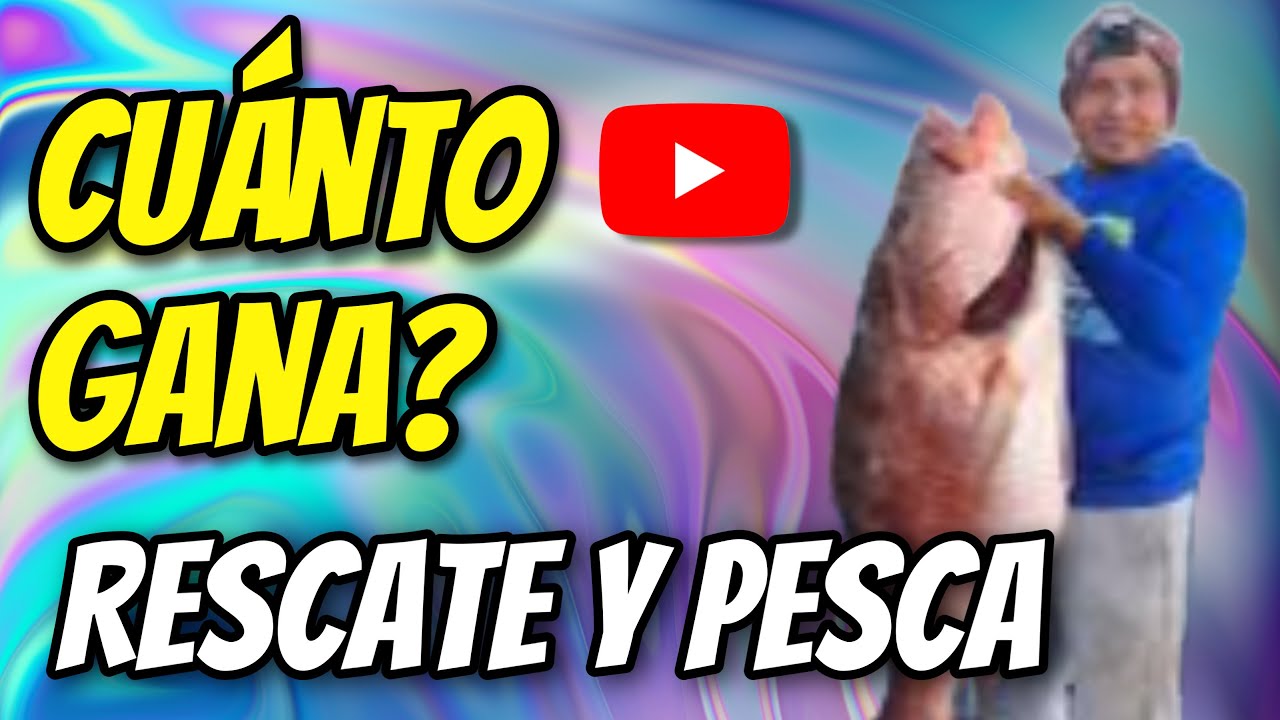 🤑👉🔴CUANTO DINERO GANA RESCATE Y PESCA EN YOUTUBE| CUANTO GANA MI ...