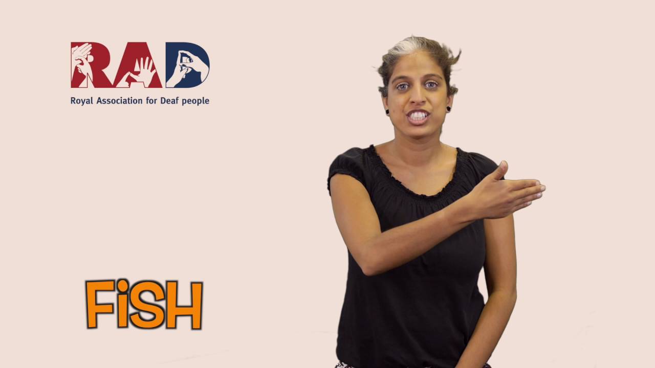 How to sign 'Fish' in British Sign Language (BSL) - YouTube