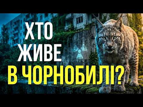 Чорнобиль: які тварини живуть у Зоні відчуження — вас здивує