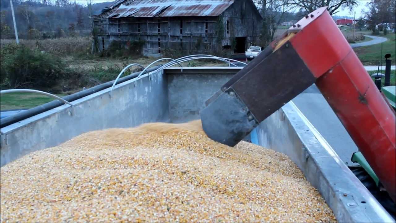 Corn Harvest 2012 Unloading Corn - YouTube