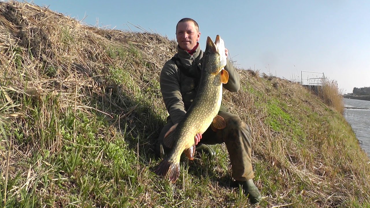 21lb Drain Pike Fishing Vlog UK 2020 - YouTube