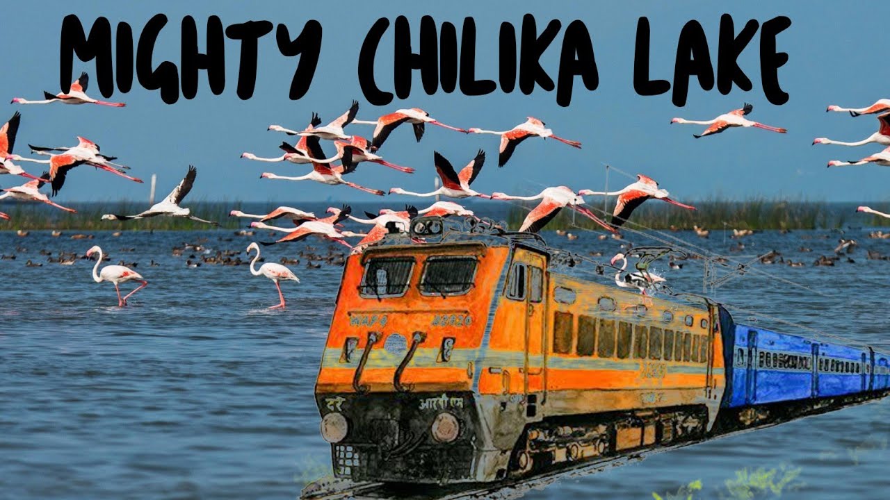 train journey through chilika lake | This is among the most beautiful ...
