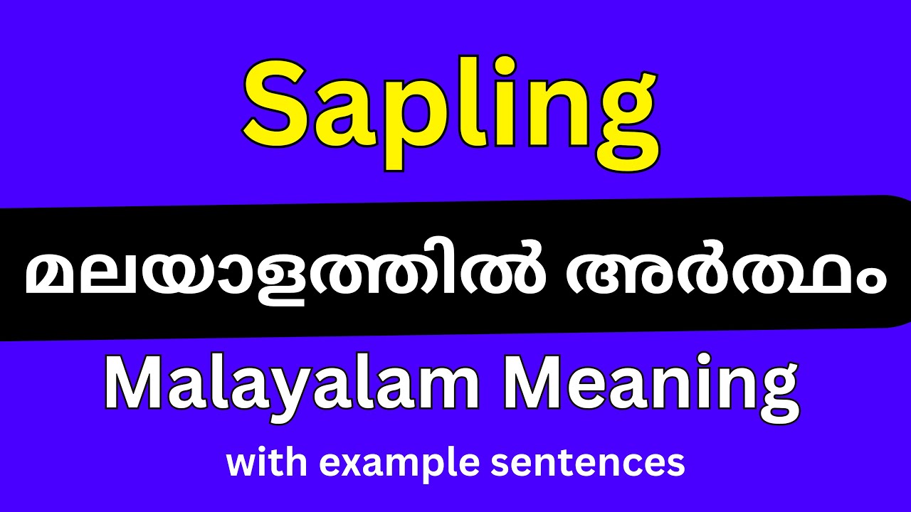 Sapling meaning in Malayalam/Sapling മലയാളത്തിൽ അർത്ഥം - YouTube