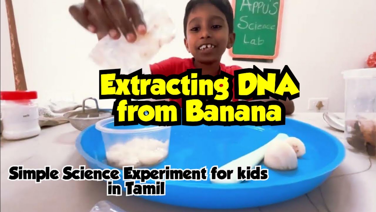 Easy science experiment for kids|DIY science experiment for kids in ...