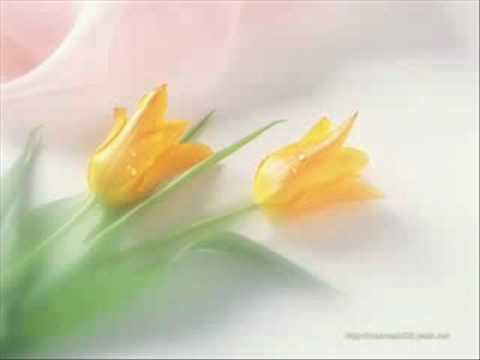 uğur ışılak-peygamberin izindeyiz.