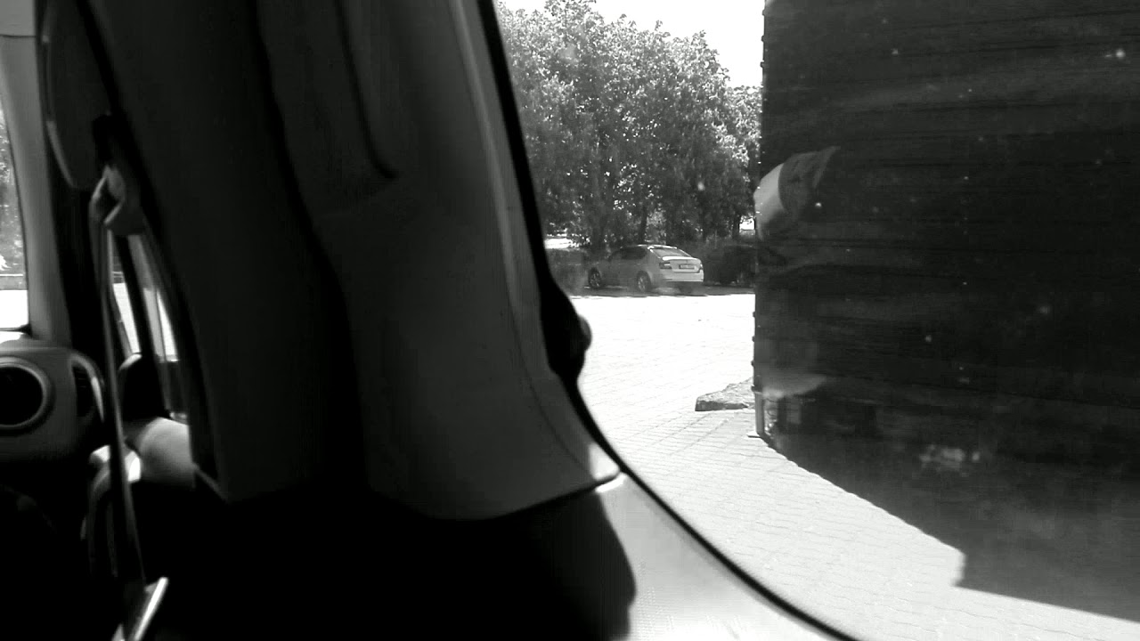 FLgal Dixie B&W - YouTube