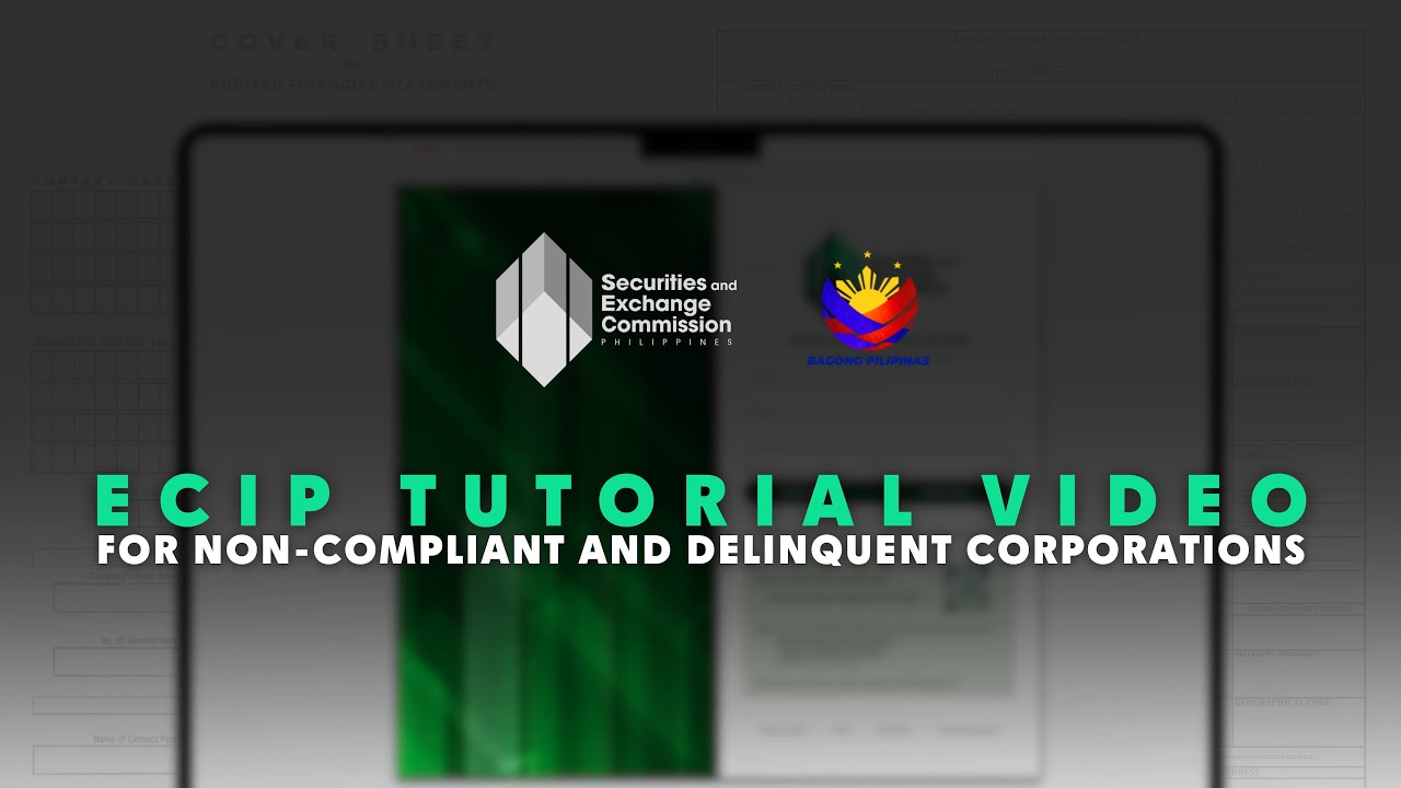 How to Avail of the SEC ECIP for Non-Compliant and Delinquent ...