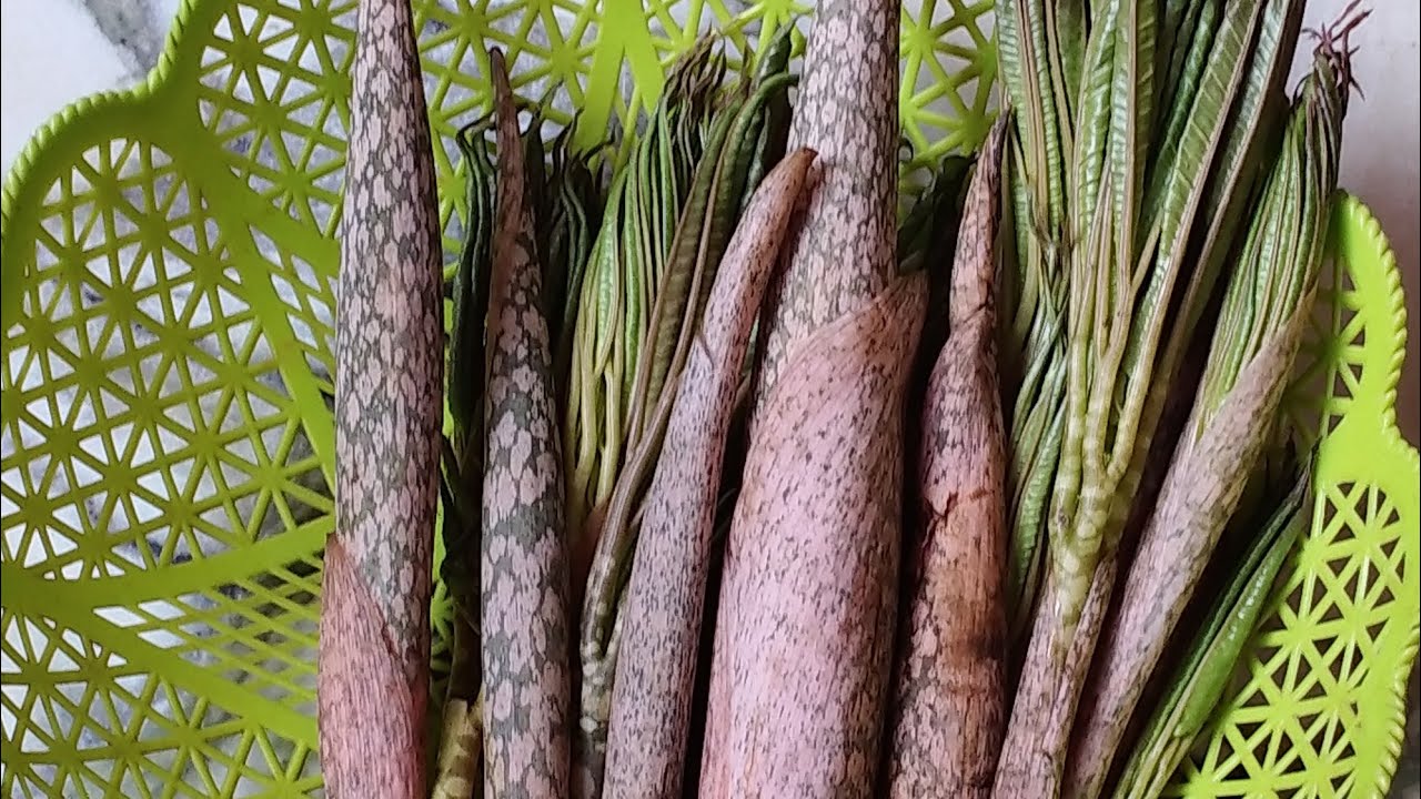 ওল মুকুতা recipe, oL kochu Recipe,Assamese kasu recipe, kitchen of ...