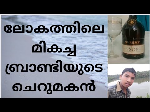 കുടിച്ചാൽ നാവിൽ നിന്ന് രുചി പോകാത്ത ഒരു മികച്ച ബ്രാണ്ടി ST-REMY BRANDY ...