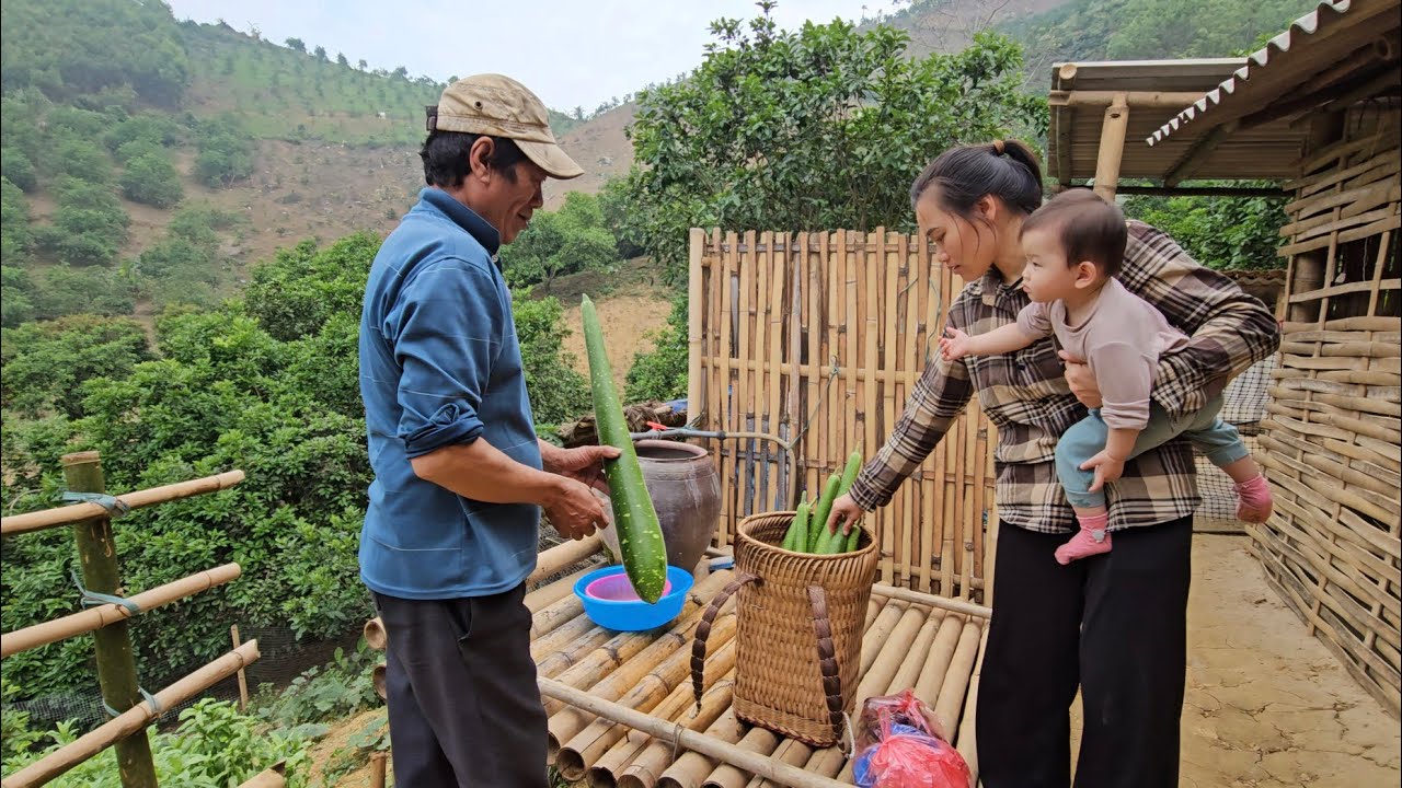 Ly Vy Ca happily harvests agricultural products from the new farm. Ly ...