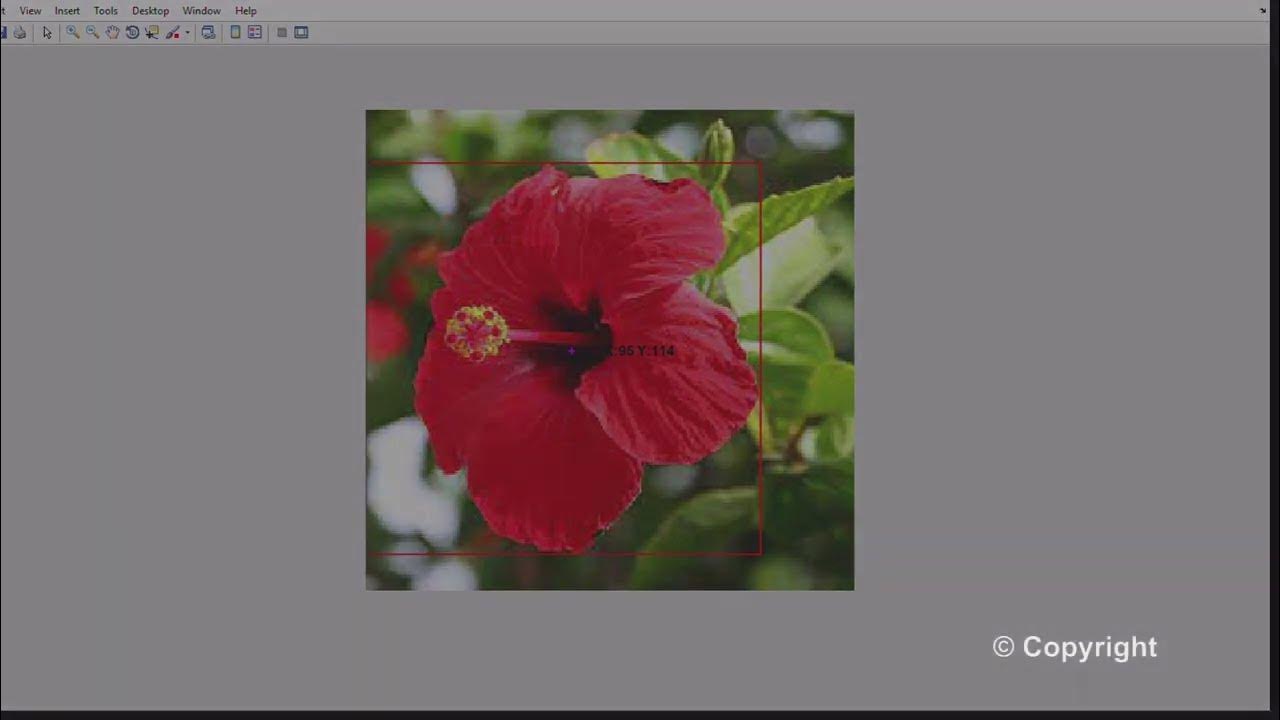RGB Color detection using MATLAB - YouTube