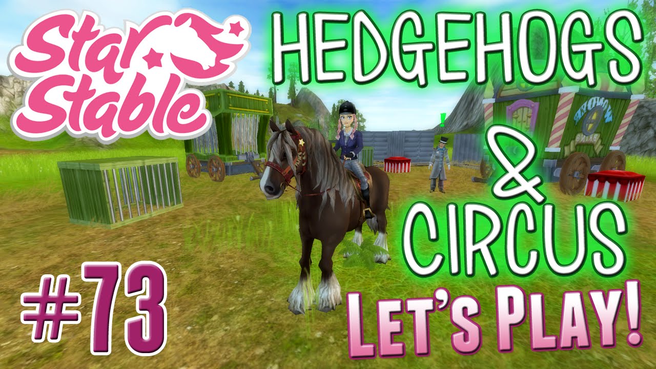 Let's Play Star Stable #73 - Hedgehogs and a Circus! - YouTube