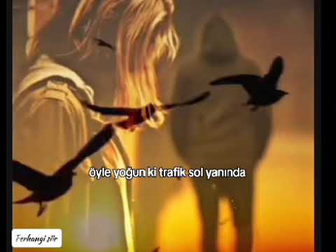 Müsait bir aşkta bırakır mısın - Ferhangi Şiir - Ezgin Kılıç