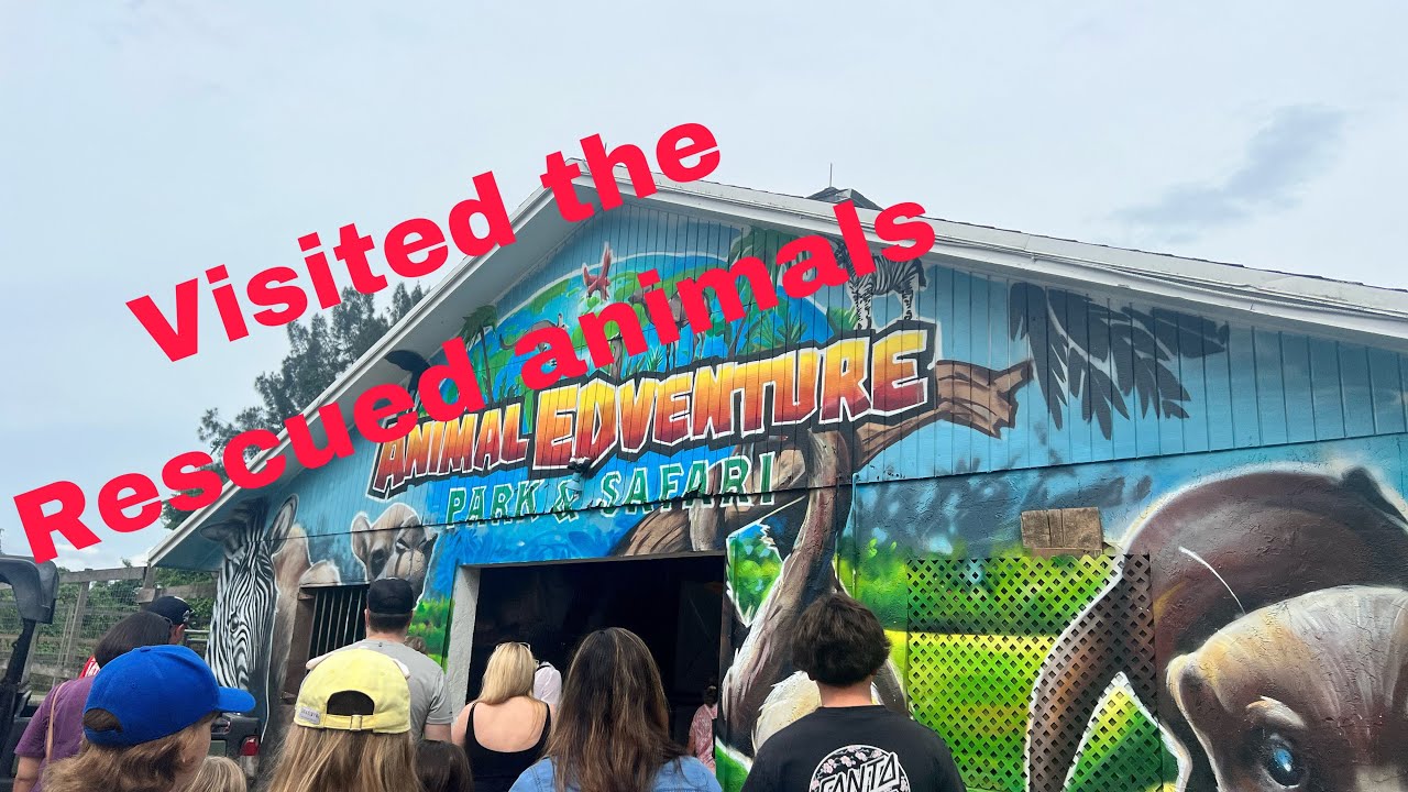 Rescued Animals at Animal EDventure Park and Safari - YouTube