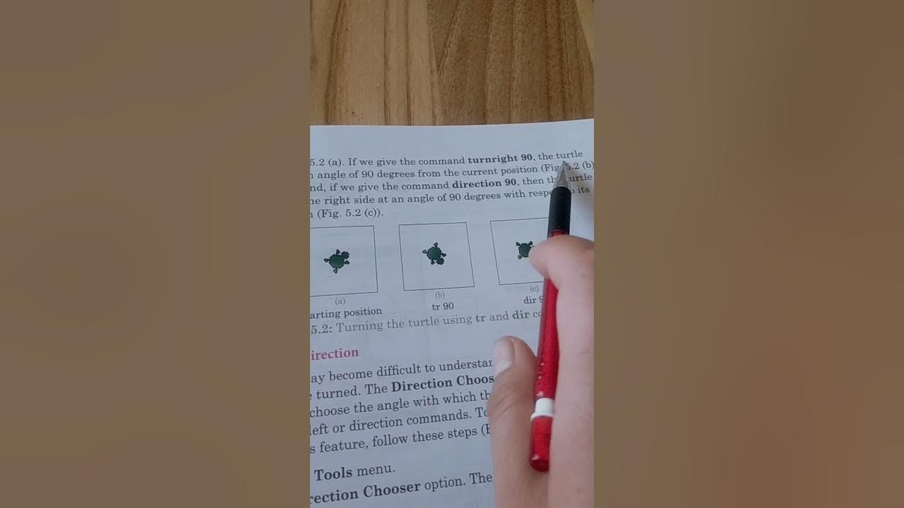 MORE ON KTURTLE. (PART 1ST ) - YouTube