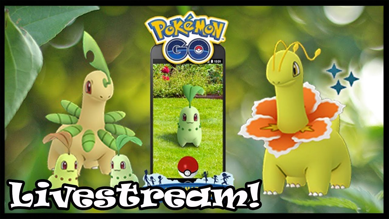 ENDIVIE Community Day Vorbereitung! Livestream! Pokémon GO! - YouTube