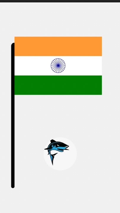 Indian Flag 🇮🇳🇮🇳 Htmlcss Css Html Coding Projects Js Animation