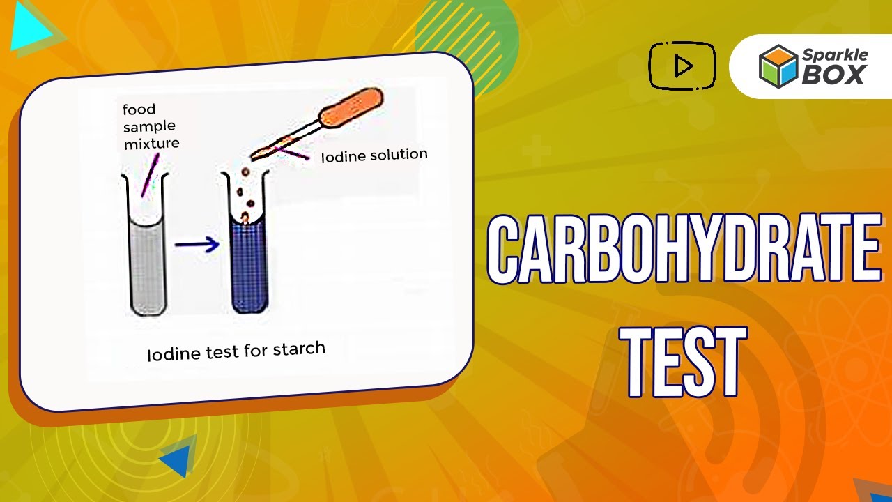 Carbohydrate Test | Grade 5 Science Experiment | Sparklebox - YouTube