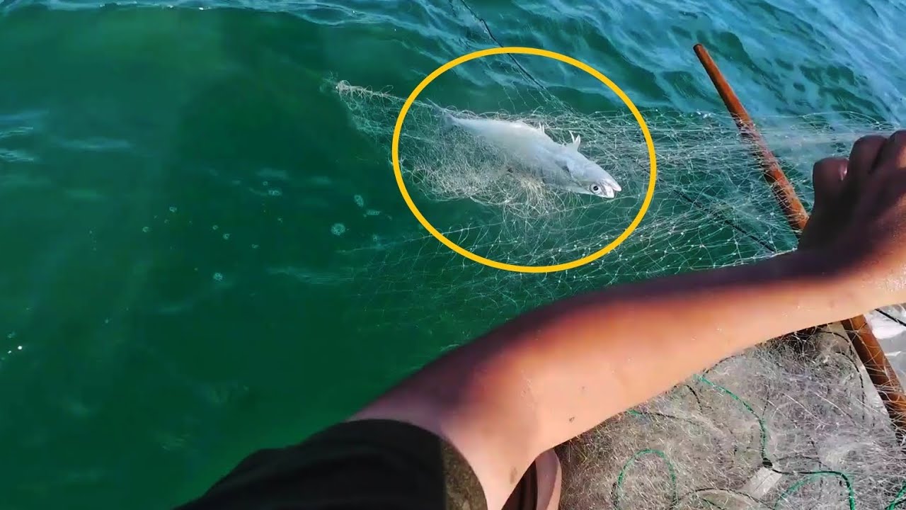 FISHING WITH NETS EPS 3 - YouTube