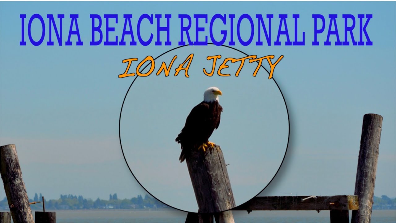 Iona Beach Regional Park | Iona Jetty | Vancouver BC Canada - YouTube