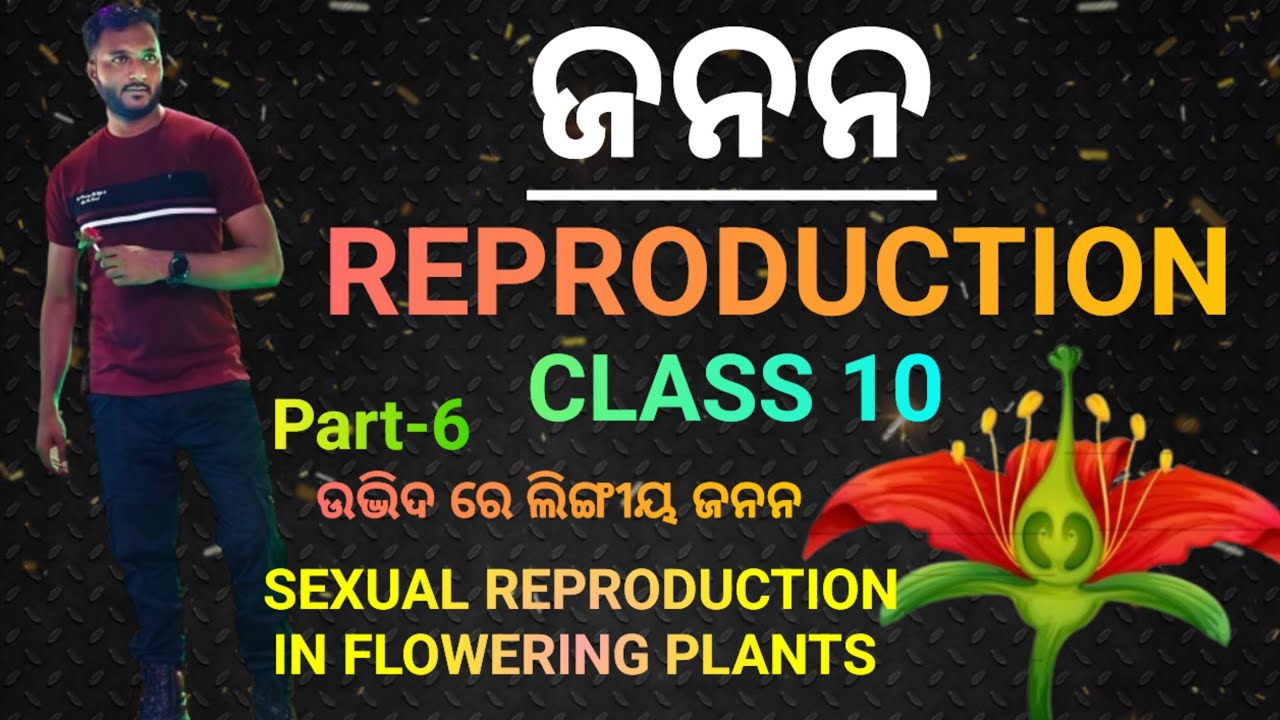 ଉଦ୍ଭିଦ ରେ ଲିଙ୍ଗୀୟ ଜନନ /ଫୁଲ(Flower) /ପରାଗଣ(Pollination) / Class 10 ...