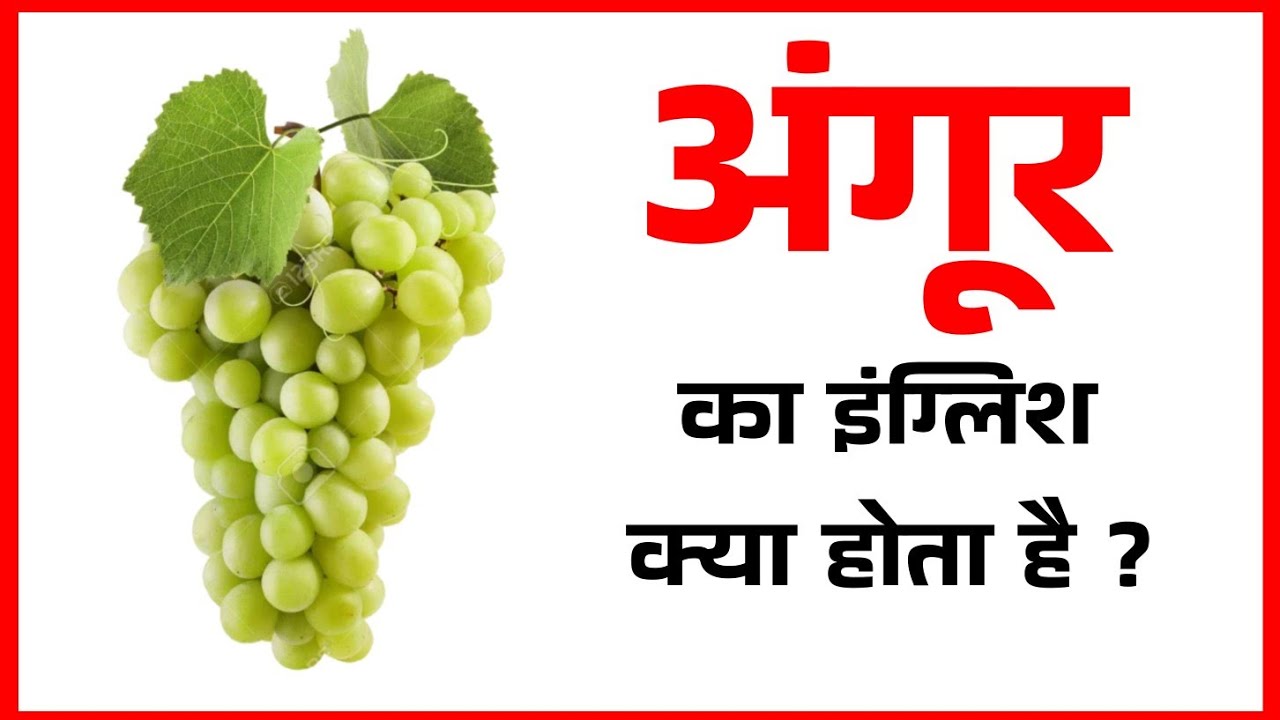angur ka english | angur ka hindi matlab | angur ka english meaning ...