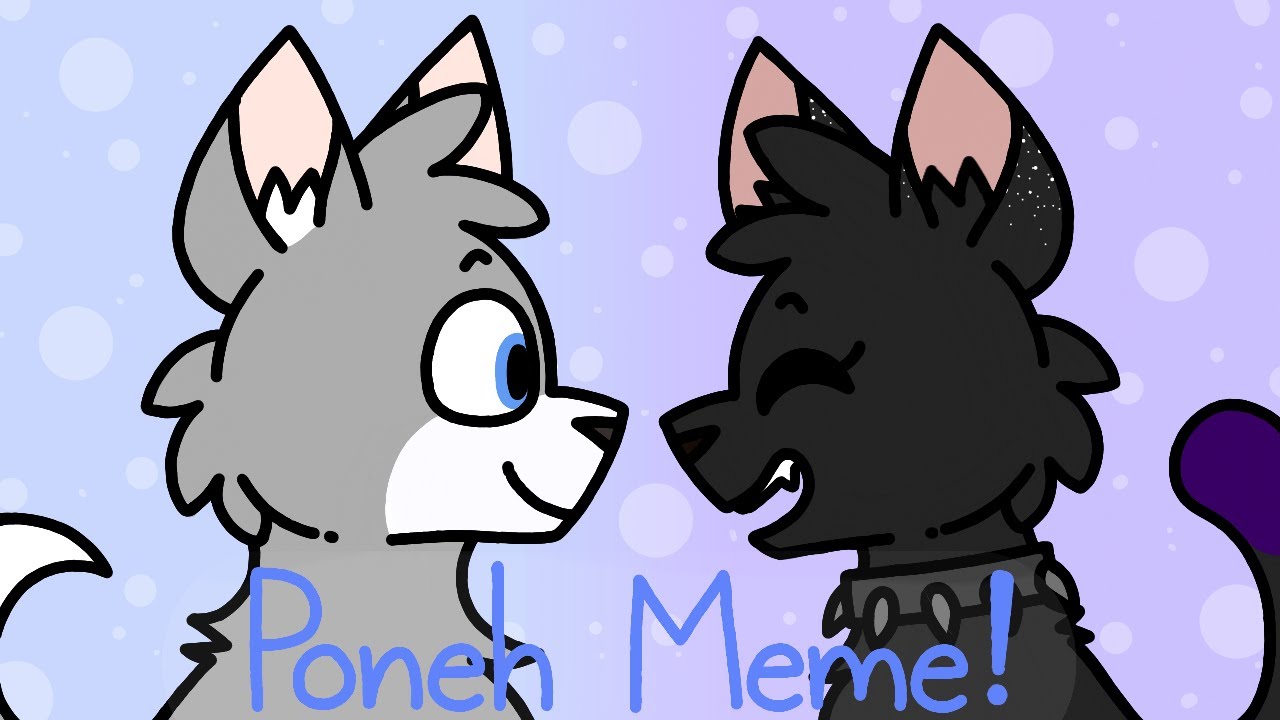 Poneh Animation MEME (COLLAB w/ Galaxy Cat) - YouTube