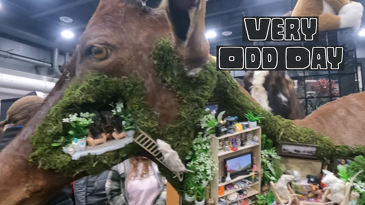 Weird Time At The World Oddities Expo - YouTube