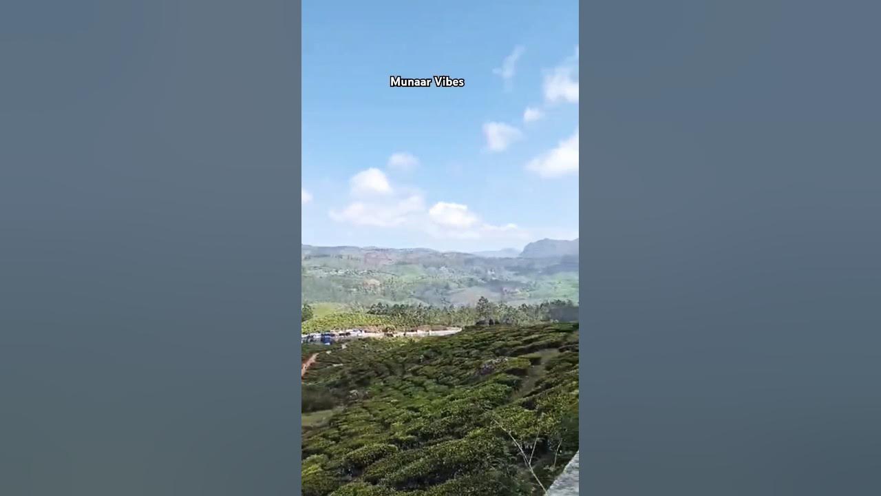 Munaar vibes | Best place to clear ur mind #shortsfeed #shorts #traveller - YouTube