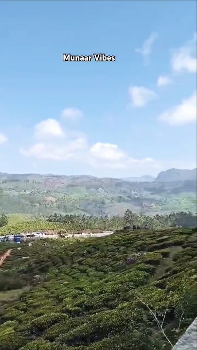 Munaar vibes | Best place to clear ur mind #shortsfeed #shorts #traveller - YouTube