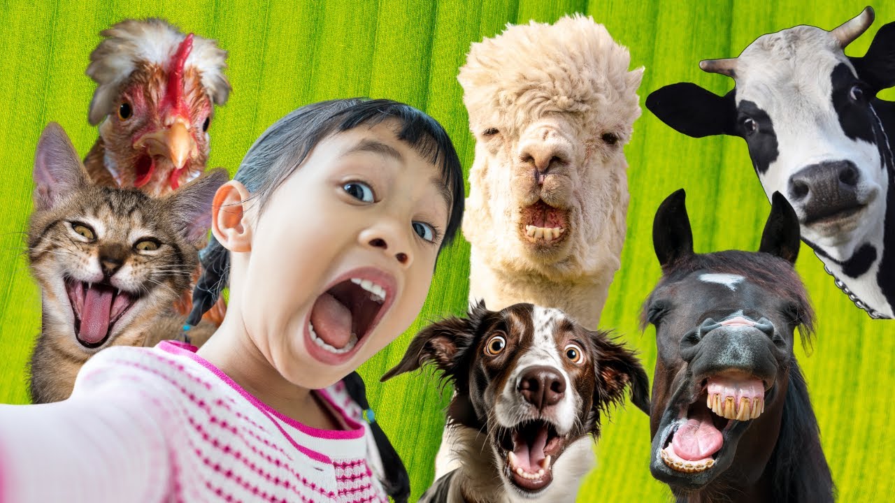 Animals for kids | Video with real wildlife sounds | lolo with jungle ...