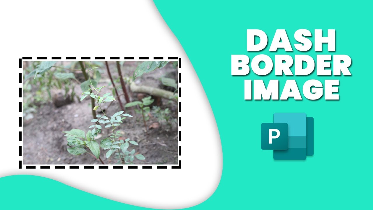 How To Insert Dash Border To Image In Publisher YouTube how-to-insert-dash-border-to-image-in-publisher-youtube
