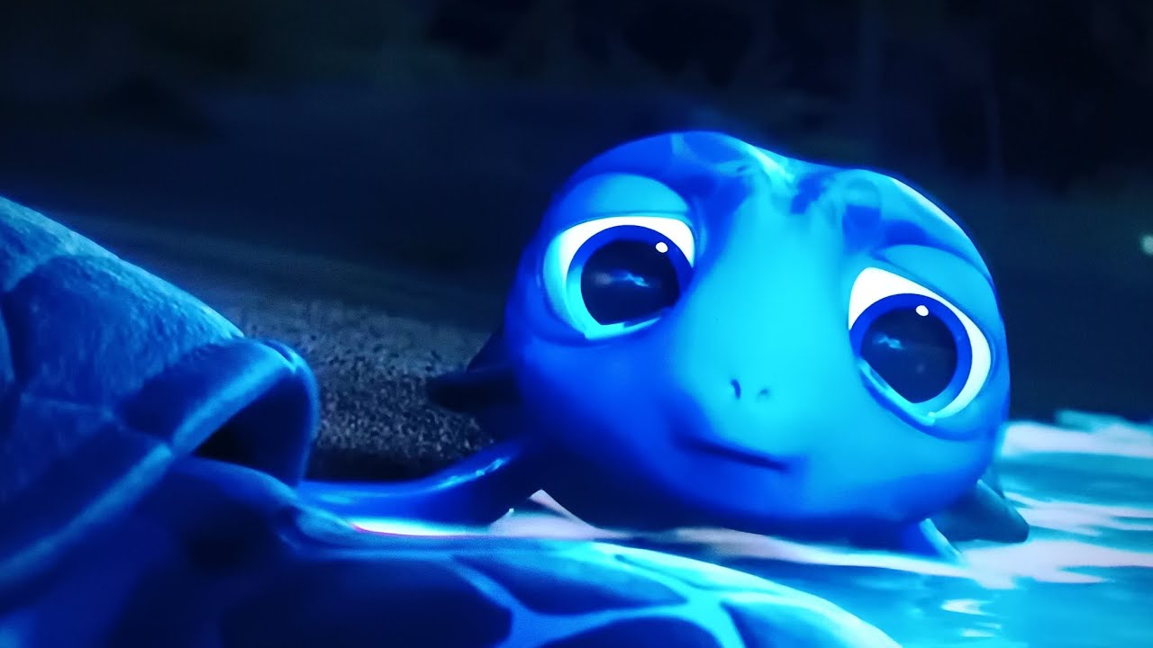Turtle's Hope_Sping Blender Animation 🐢🐢🐢🔥🥰 - YouTube
