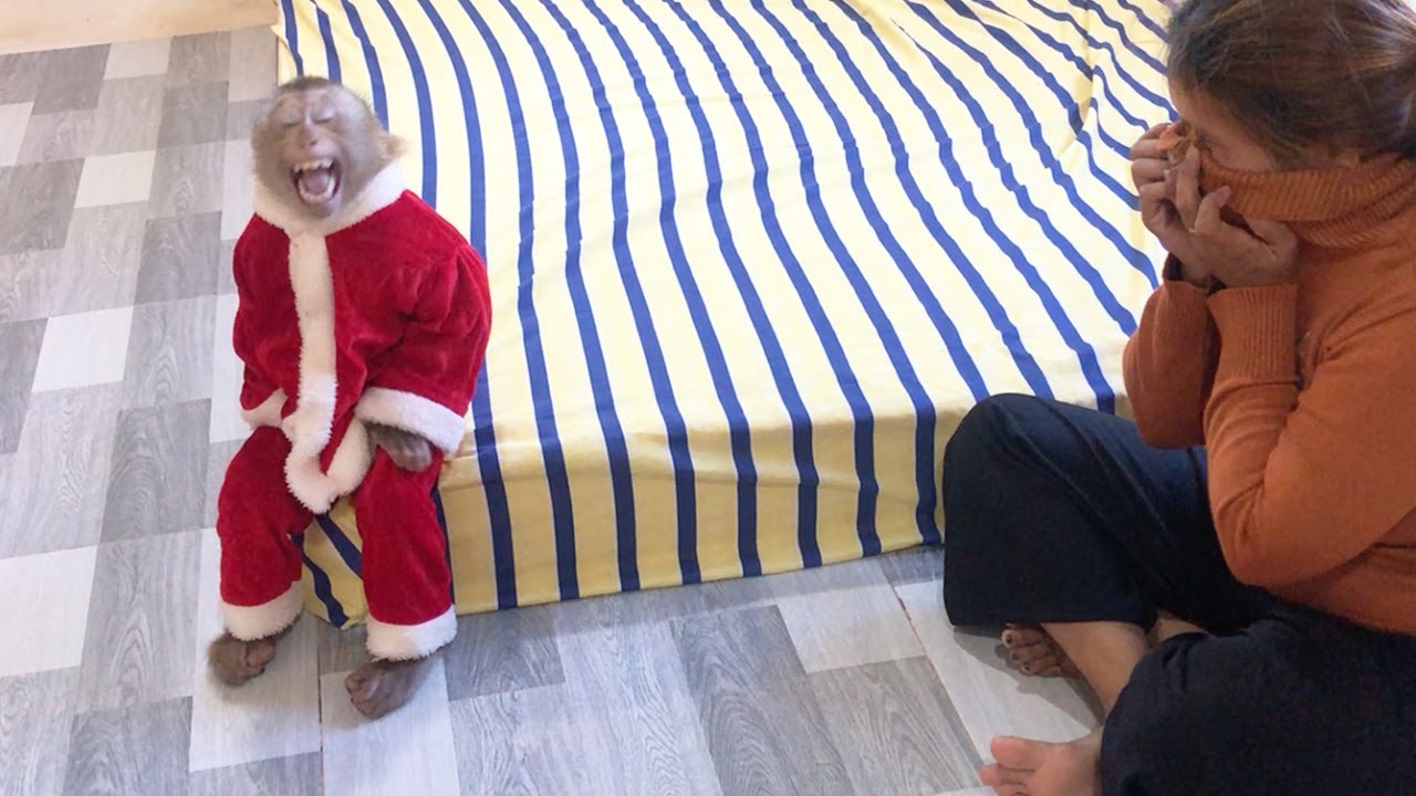 Jason Sit Upset Dare Not Comfort Mom When Bounce Kick - YouTube