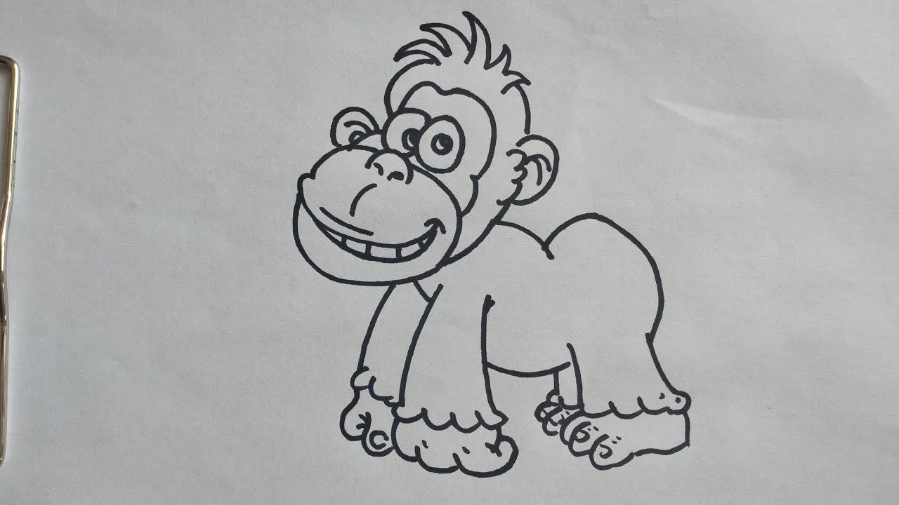 How to draw baboon - YouTube