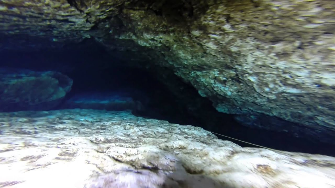 Cave Diving - Ginnie Springs 2014 - YouTube