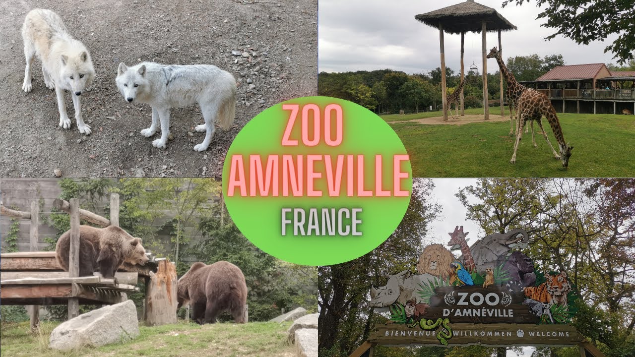 Zoo Amneville in Frankreich | Ein Tag zwischen wilden Tieren, Shows und ...
