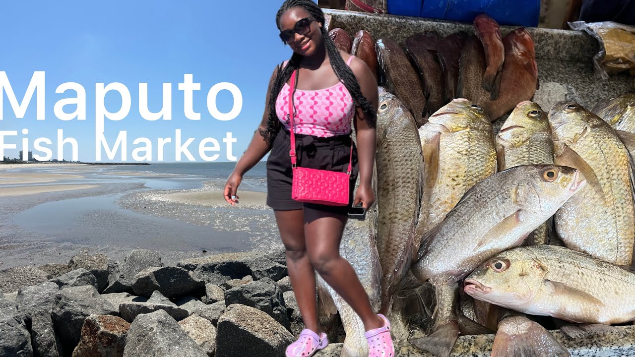 Fish Market Maputo!🇲🇿 #mozambique #travel - YouTube