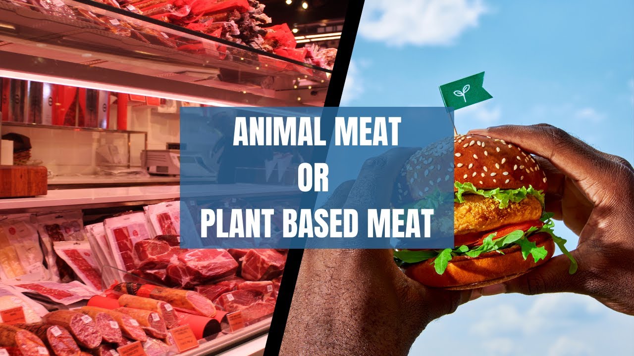 Is it Ethical to Eat Animal Meat in a World Where Plant-Based ...