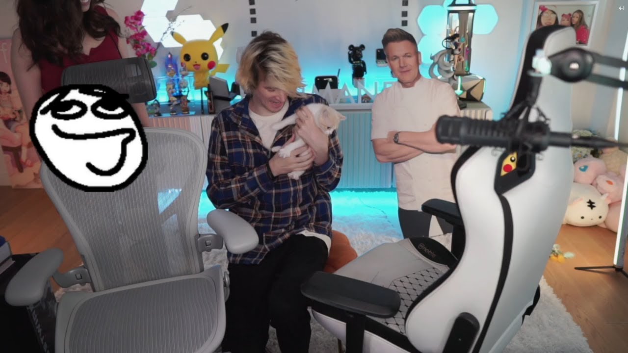 xQc visits Pokimane for podcast and first impressions are going great ...