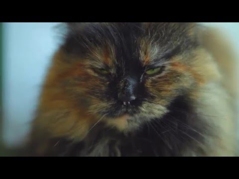 Vancouver Is Burlesque! Episode One