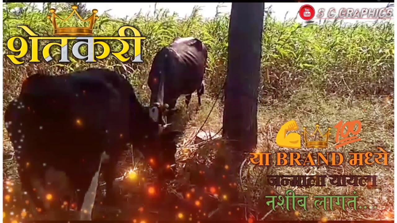 shetkari status in marathi shetkari status new 2020 shetkari dada ...