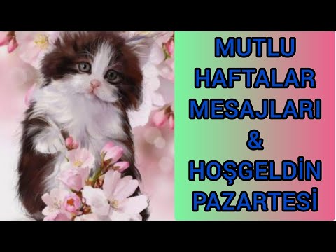 BU HAFTA₺PARA BOL💵💛MUTLULUK BOL OLSUN💯İYİ HAFTALAR BOL₺KAZANÇLAR💵RESİMLİ GÜNAYDIN MUTLU SABAHLAR