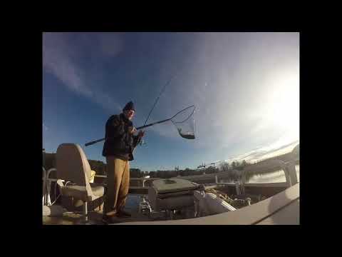 Channel Catfishing Jan 2, 2020 Raleigh NC ‐ - YouTube