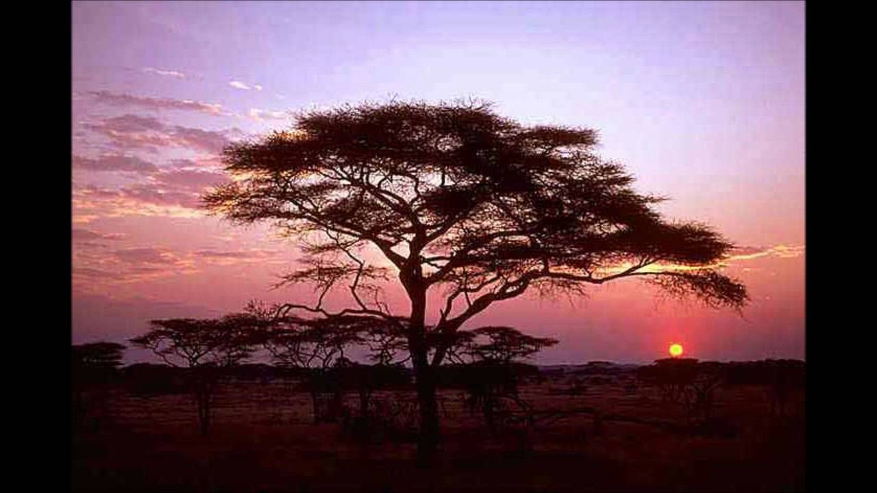 Ramadanman - Blimey - YouTube