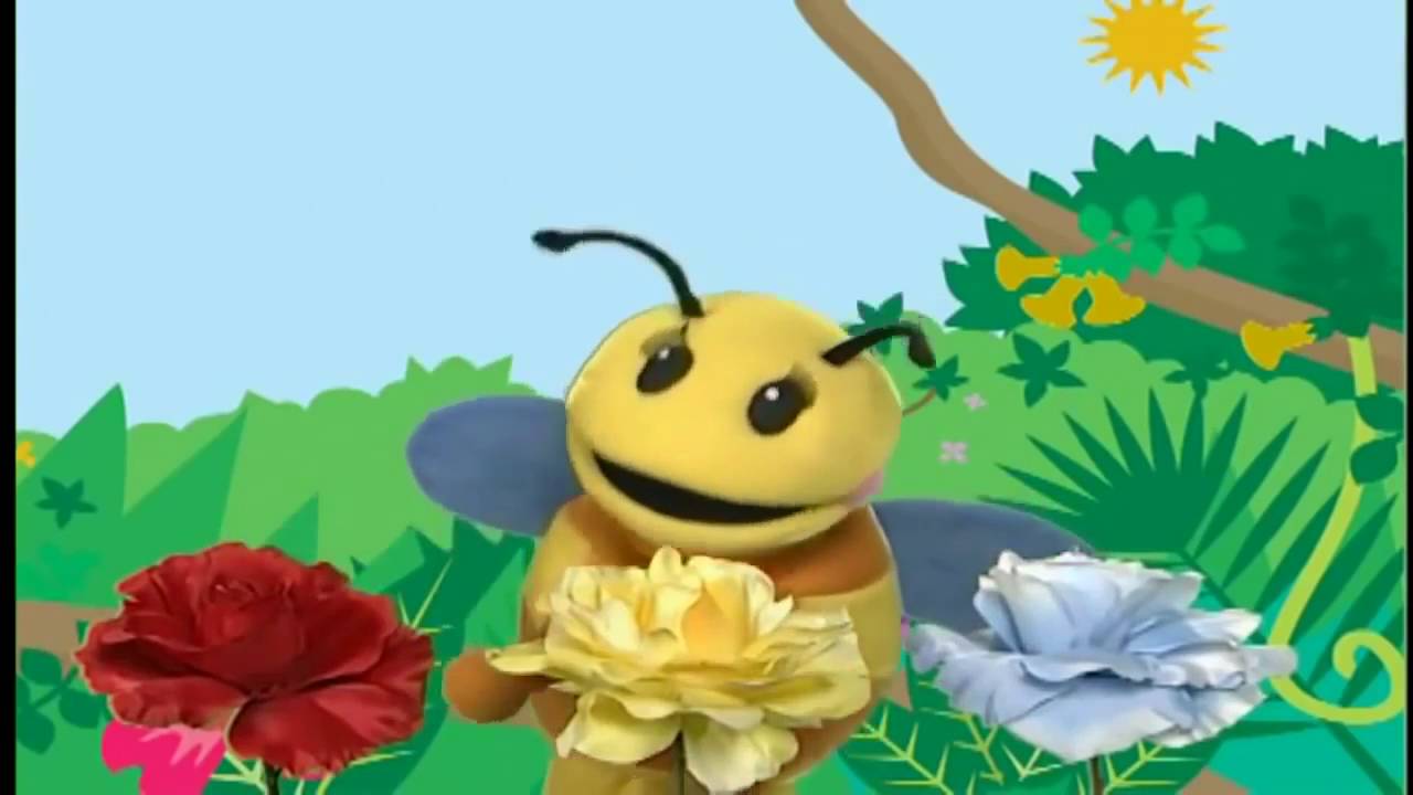 Baby Einstein First Sounds Baby Einstein Compilation Playlist 2015 ...