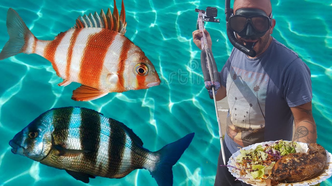 PESCA SUB Y COCINA, URTA Y SARGO BREADO 💯💯💯 - YouTube