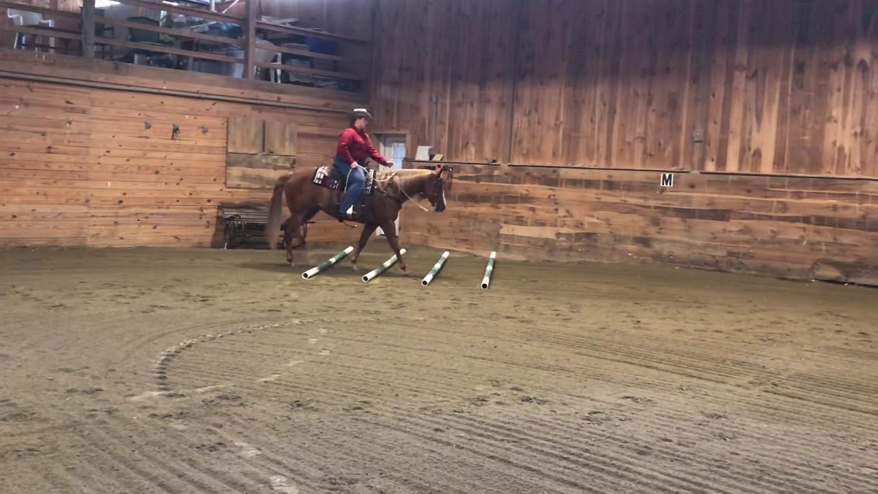 #2 Alyssa Kinsey - Smart Gracie - Open Ranch Riding - YouTube